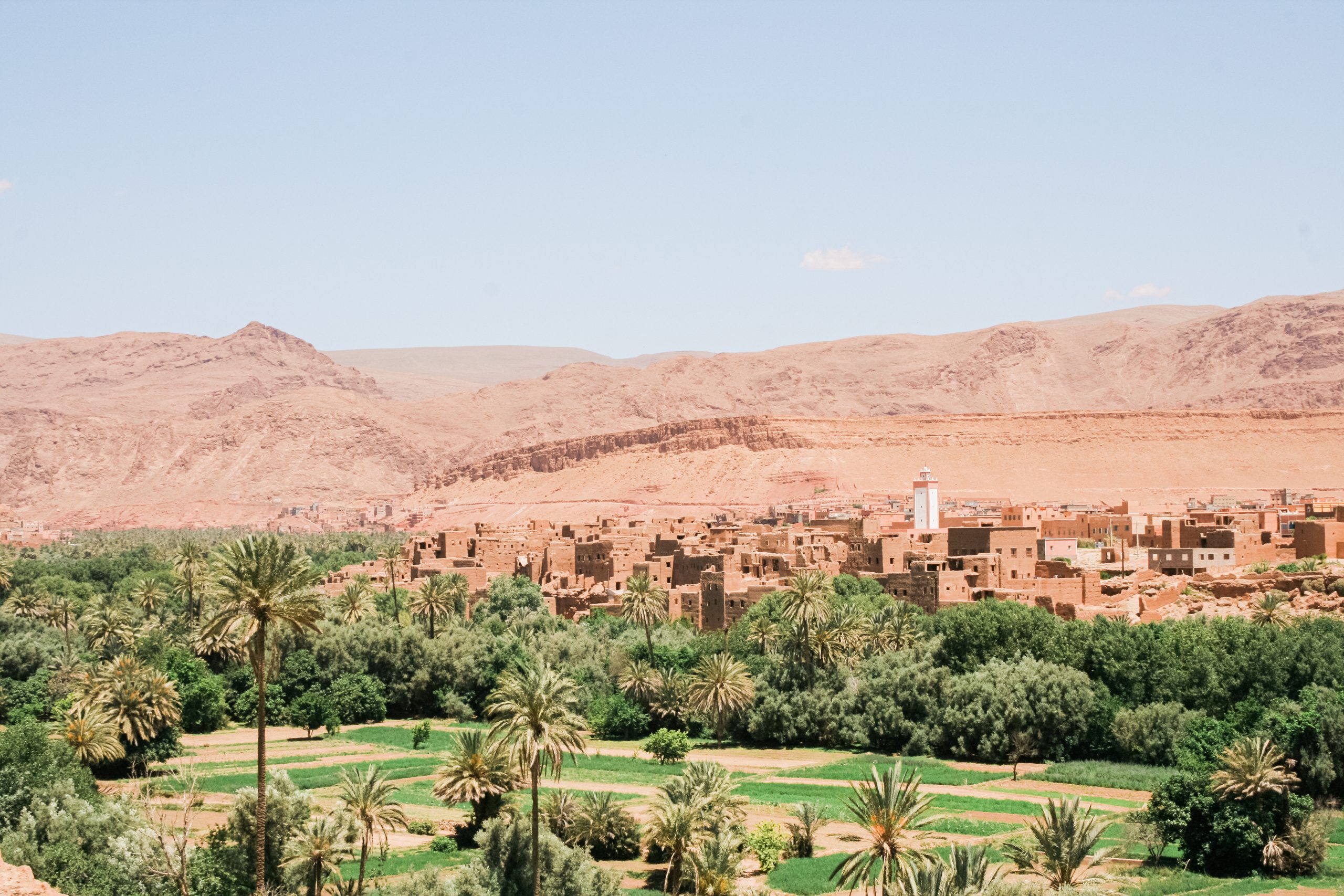 About Asibi – ASIBI